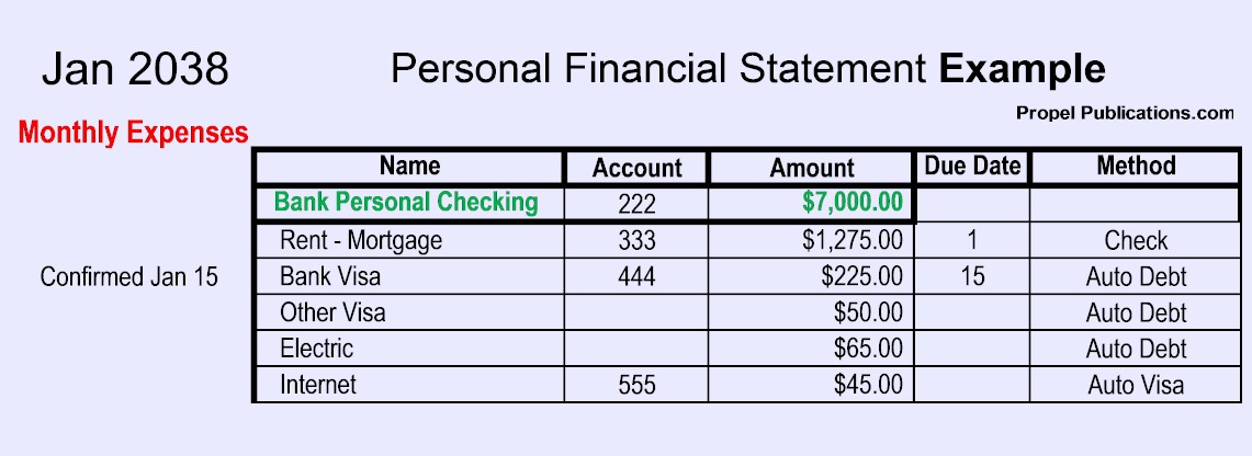 Personal Financial Statement - Propel Publications